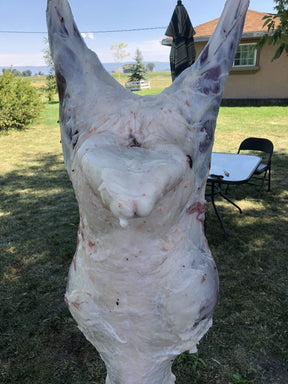 Pursuit Farms Fat Tail Sheep / lamb 1/2 & whole share CUSTOM Reserve ...